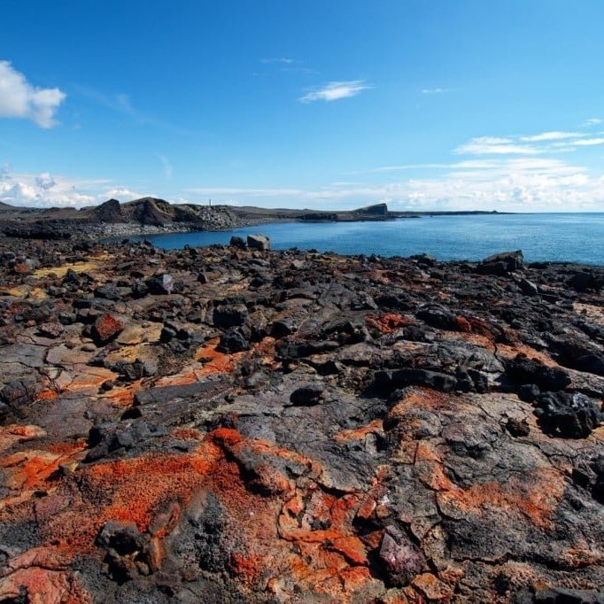 karlinn-1 | Visit Reykjanes